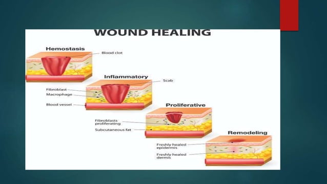 Elicit, Document and present history in a patient presenting with ...