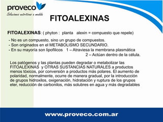 Elicitores y sar1 | PPT