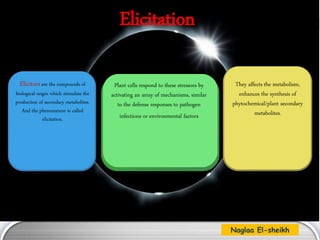Elicitors | PPTX