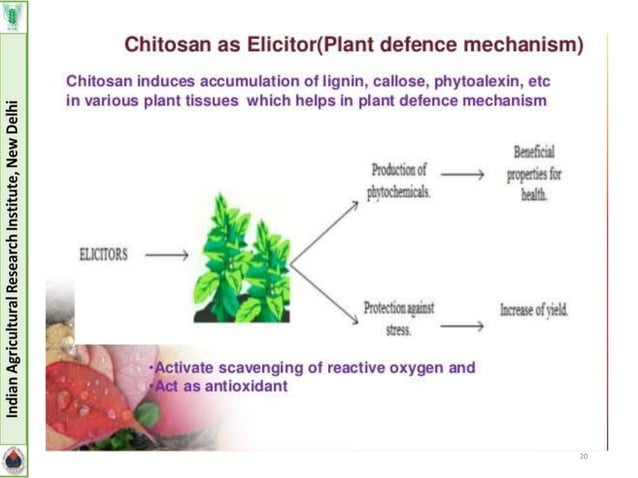 Elicitors | PPTX | Agriculture | Industries