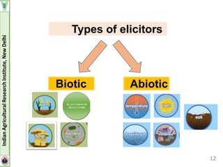 Elicitors | PPT