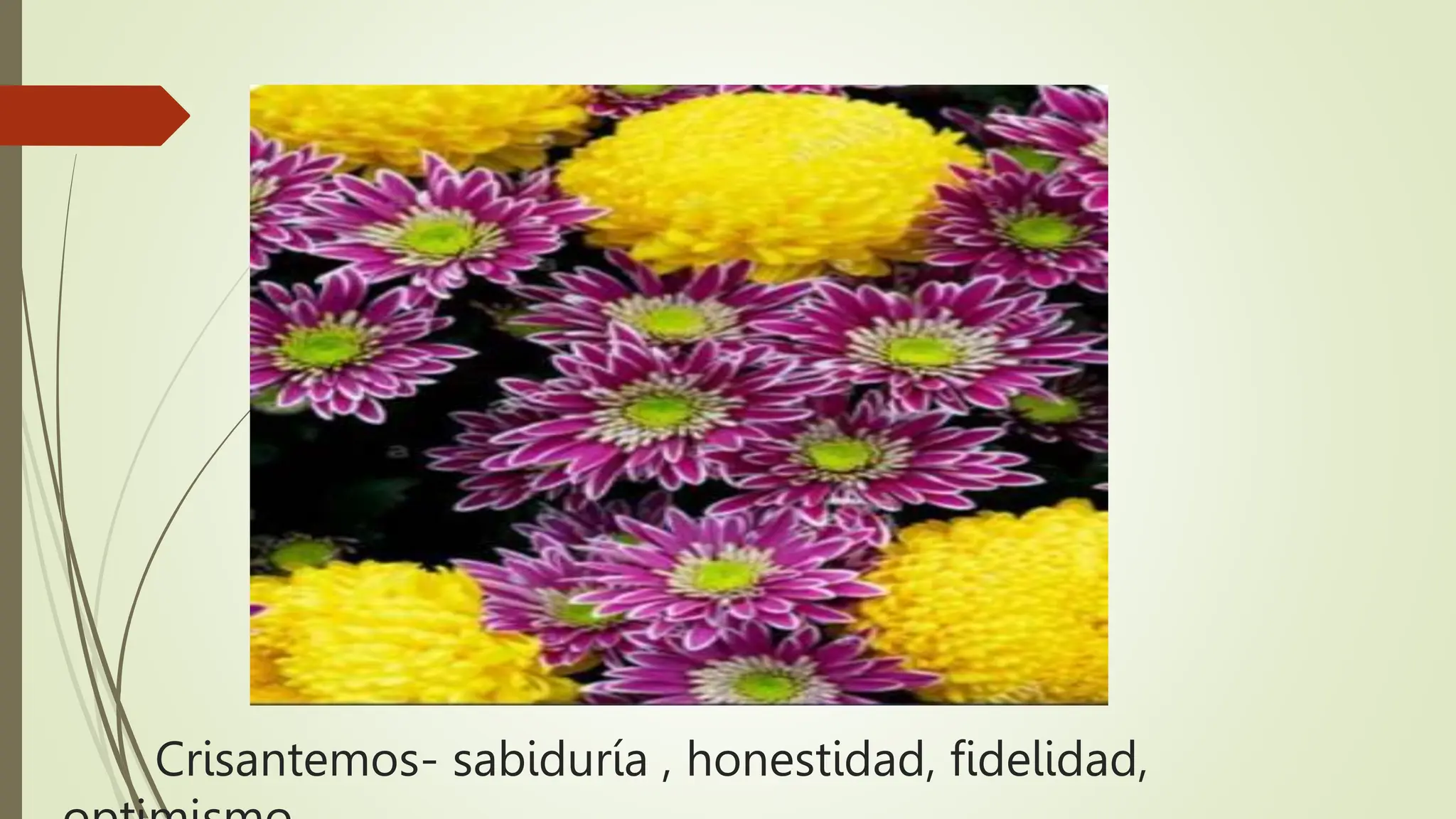 Los significados de las flores en el plano artistico | PPT