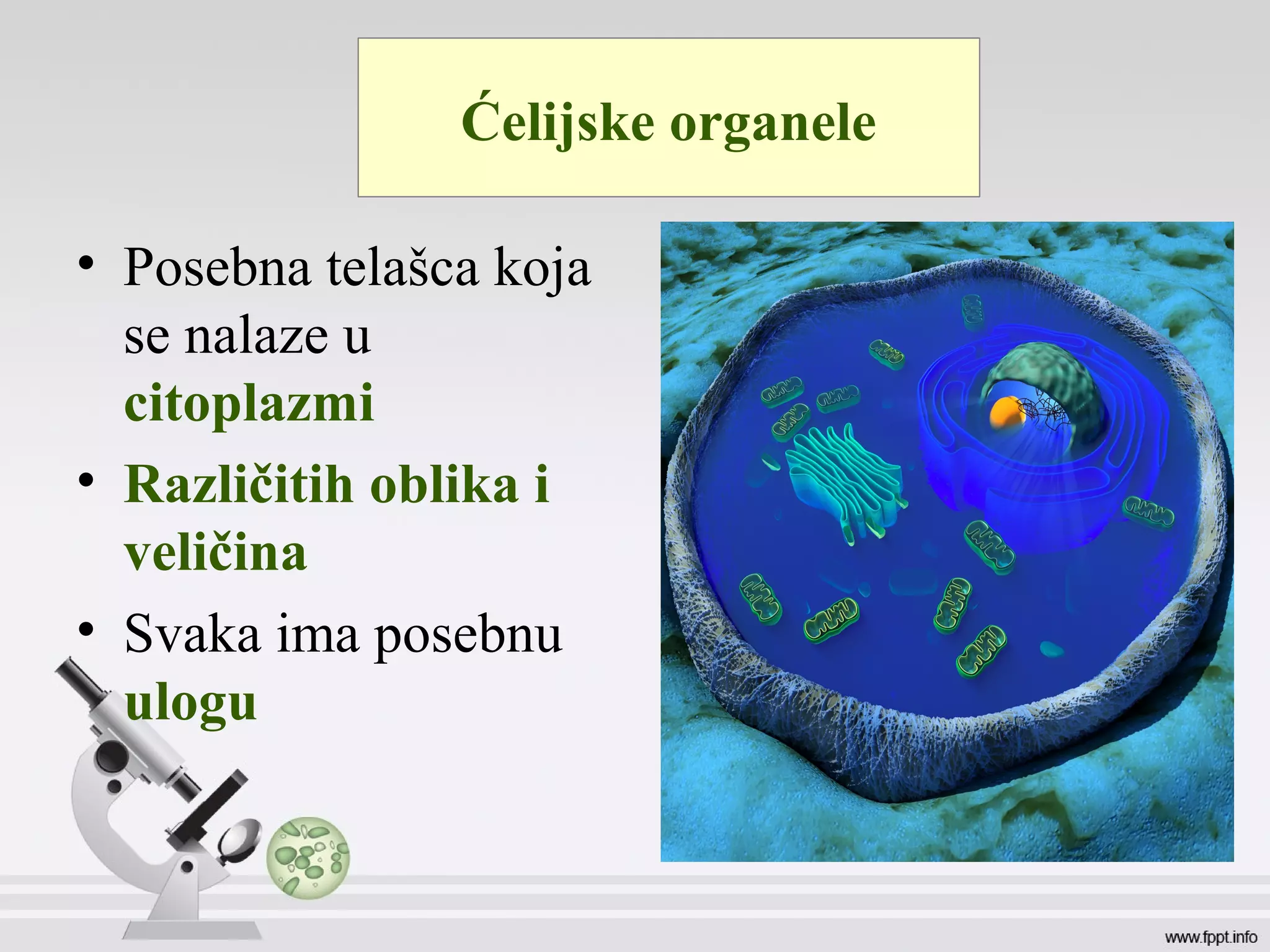Ćelija | PPT