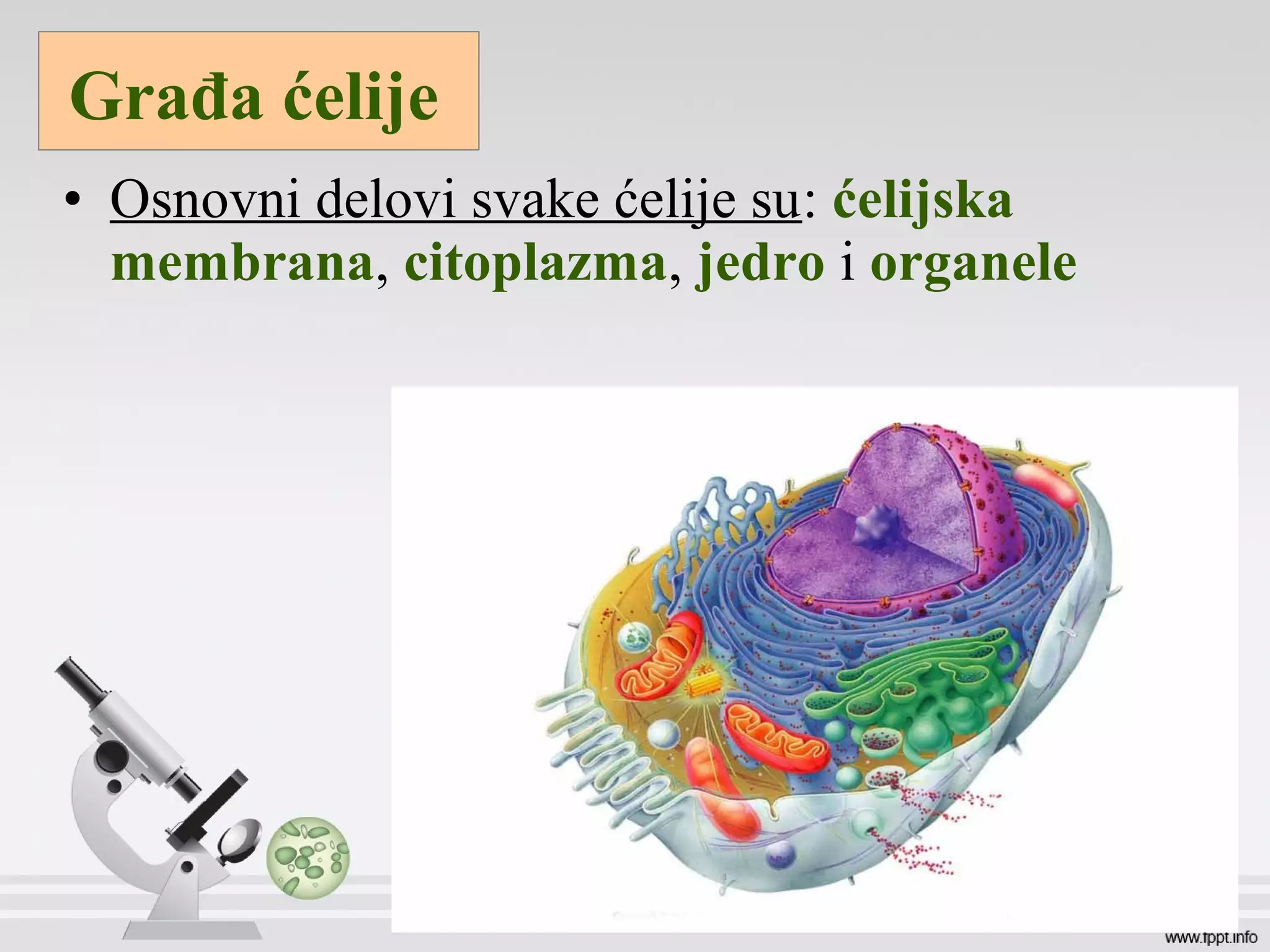 Ćelija | PPT
