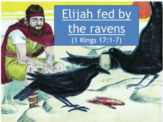 Elijah fed by the ravens | PPT