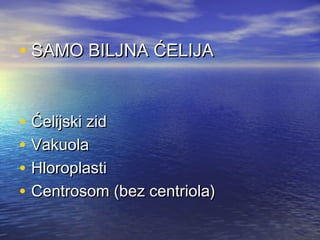 ćElija prezentacija | PPT