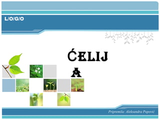 ćelija VII | PPT