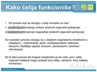 ćelija VII | PPT
