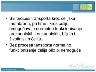 ćelija VII | PPT