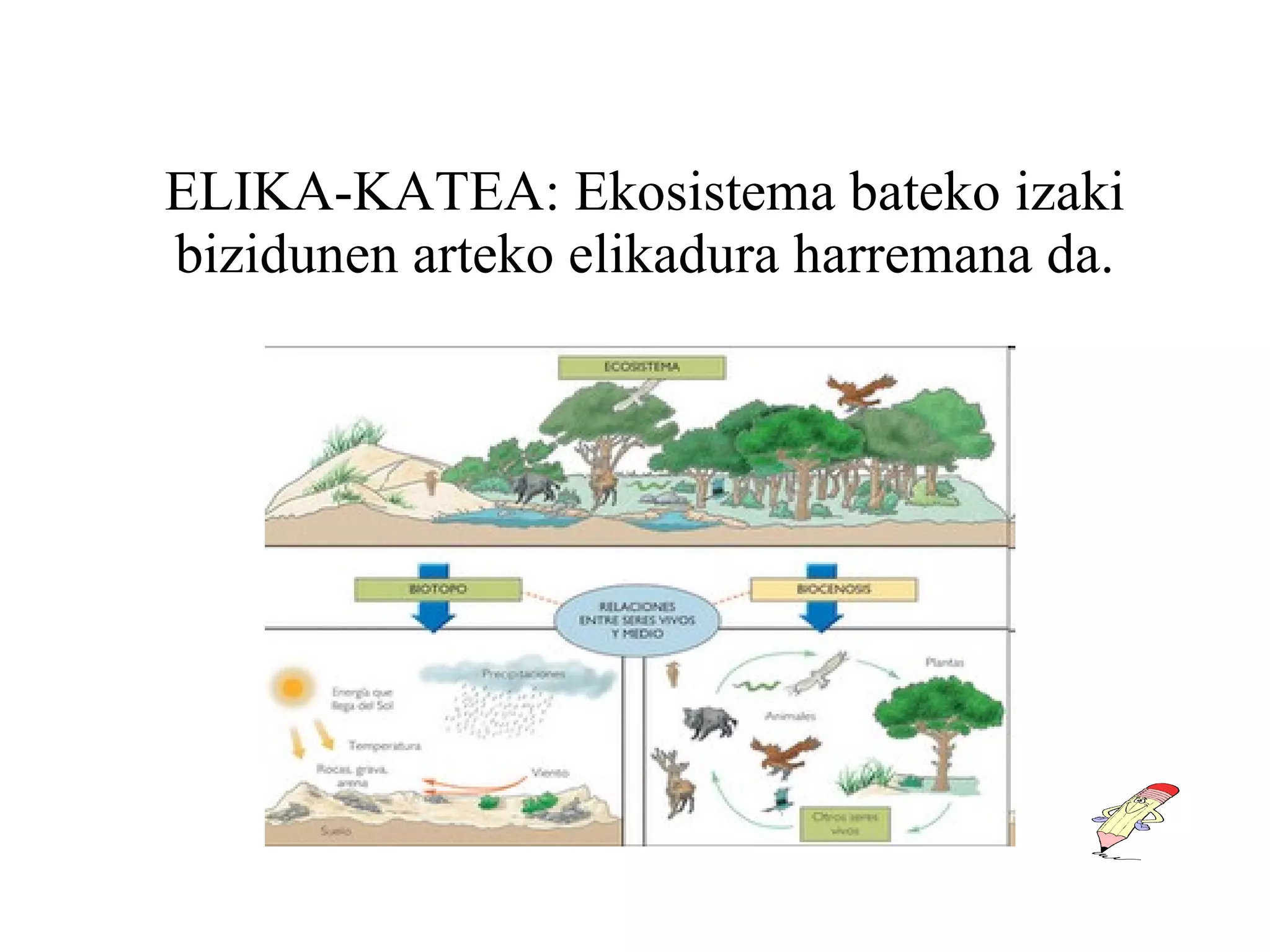 Elika katea | PPT