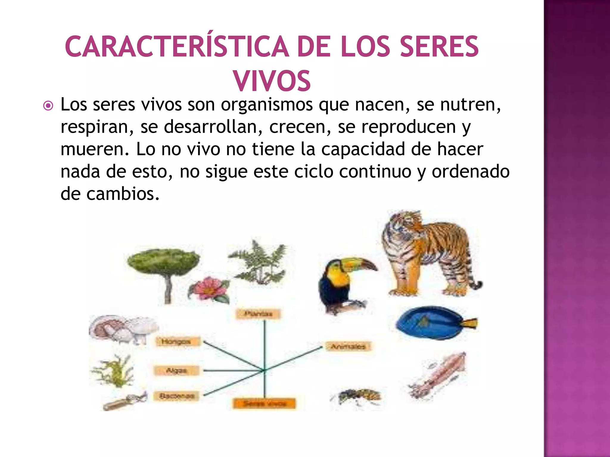 CARACTERÍSTICAS DE LOS SERES VIVOS | PPTX | Biological Sciences | Science