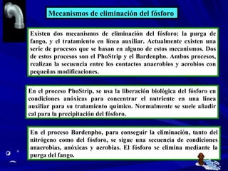 Eliminación biológica de nutrientes tratamiento | PPT