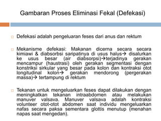 kebutuhan eliminasi fekal pada pasien di pelayanan kesehatan | PPTX