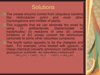 Eliminating smell of urine | PPT | Indoor Environmental Quality | Home ...