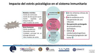 El impacto del estrés en el sistema inmunitario | PDF