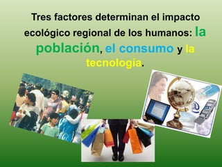 El impacto del hombre sobre la tierra | PPTX