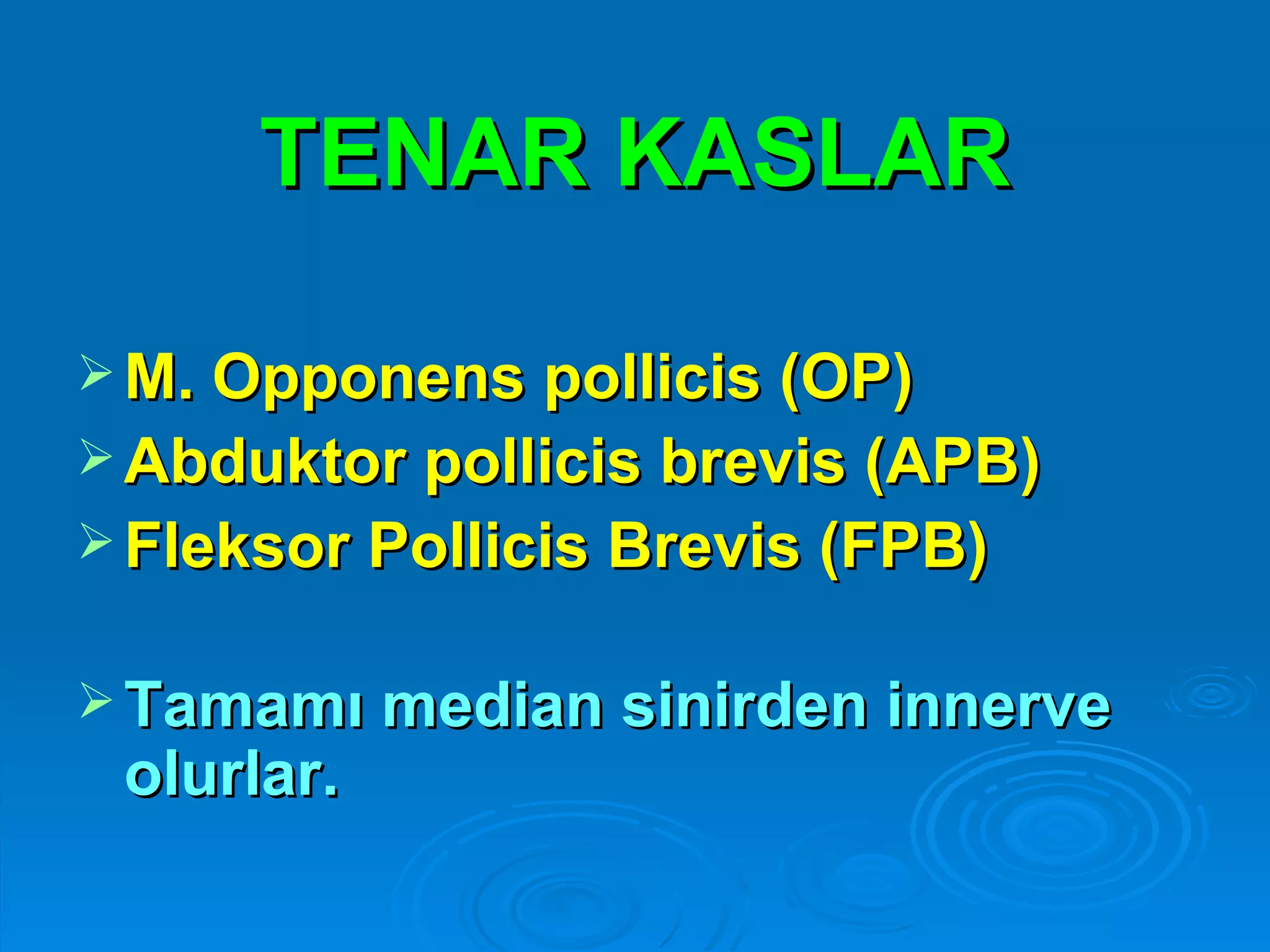 Elin fonksiyonel anatomisi (fazlası için www.tipfakultesi.org ) | PPT