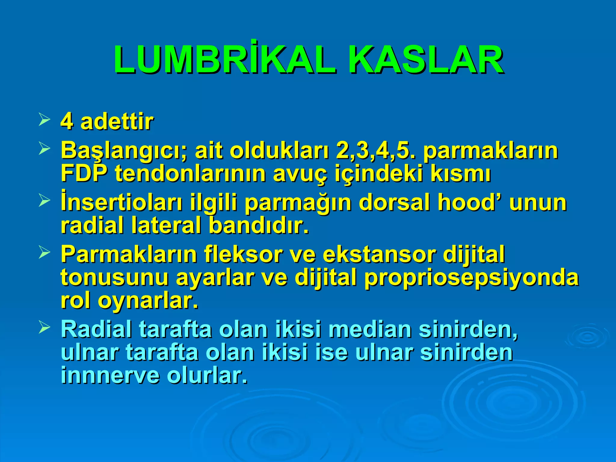 Elin fonksiyonel anatomisi (fazlası için www.tipfakultesi.org ) | PPT