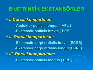 Elin fonksiyonel anatomisi (fazlası için www.tipfakultesi.org ) | PPT