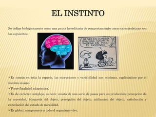 Teoría Del Instinto