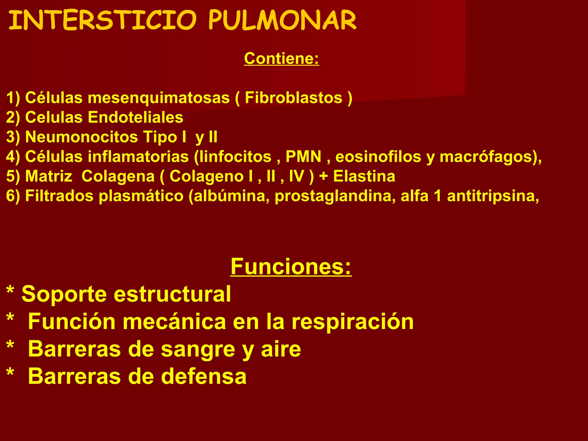 El intersticio pulmonar Dr Alejandro Abritta UBA | PPT