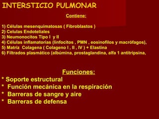 El intersticio pulmonar Dr Alejandro Abritta UBA | PPT