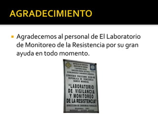 SUSCEPTIBLIDAD DE Aedes aegypti AL LARVICIDA TEMEPHOS (ABATE® ), LA ...