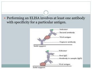 Elisa | PPTX