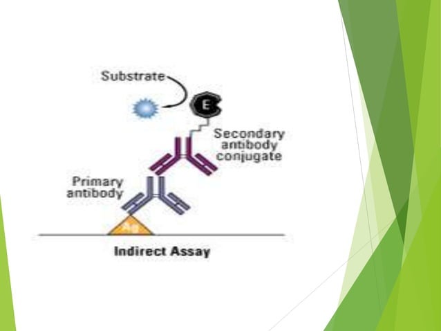 ELISA | PPTX | Chemistry | Science