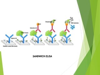 ELISA | PPTX