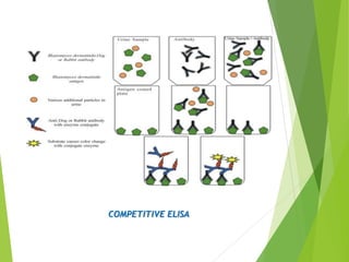 ELISA | PPTX