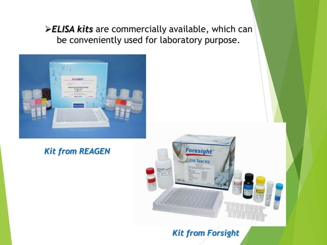 ELISA | PPTX | Chemistry | Science