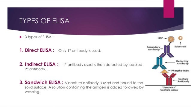 Four Types Of Elisa Assay