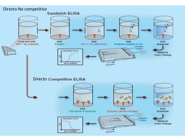 ELISA