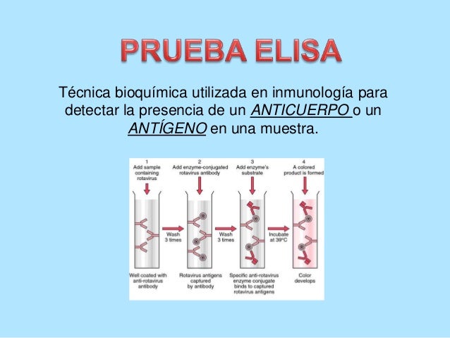 PRUEBA ELISA