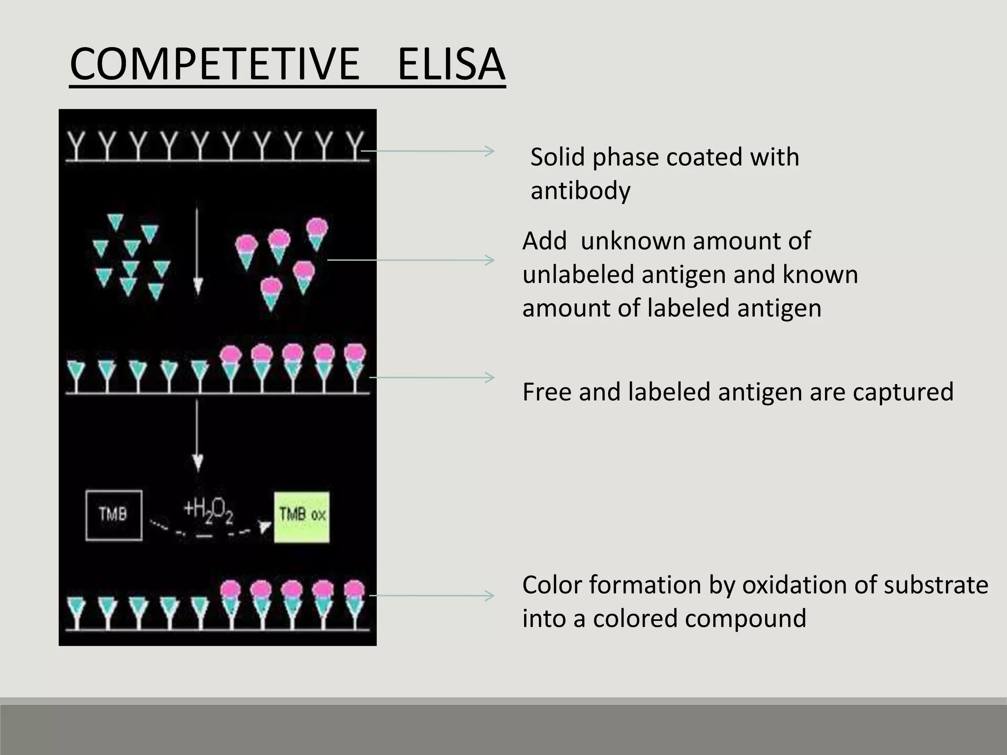 Elisa AND ITS APPLICATION | PPTX