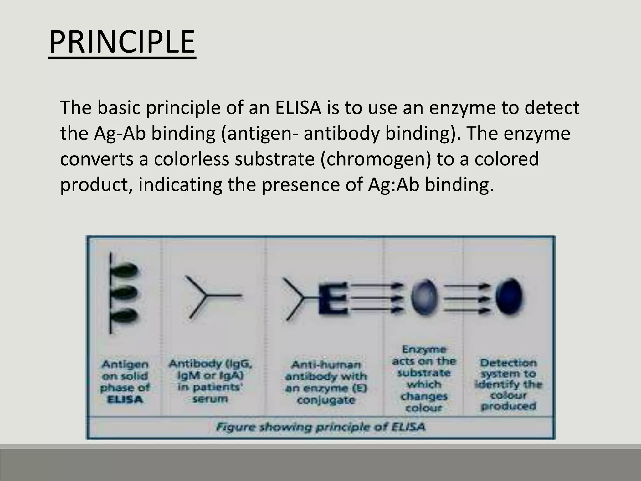 Elisa AND ITS APPLICATION | PPTX