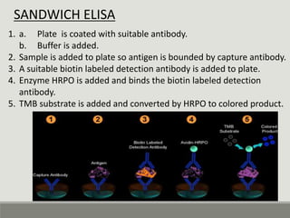 Elisa AND ITS APPLICATION | PPTX