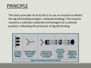 Elisa AND ITS APPLICATION | PPTX
