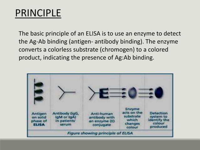 Elisa AND ITS APPLICATION | PPTX | Medical Tests | Medical Health
