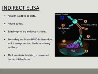 Elisa AND ITS APPLICATION | PPTX