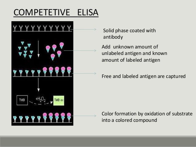 Elisa AND ITS APPLICATION