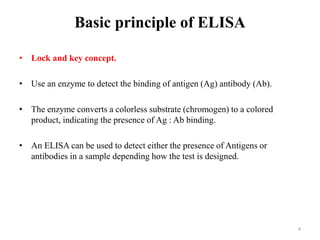 Elisa | PPTX