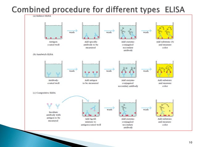 Elisa | PPT