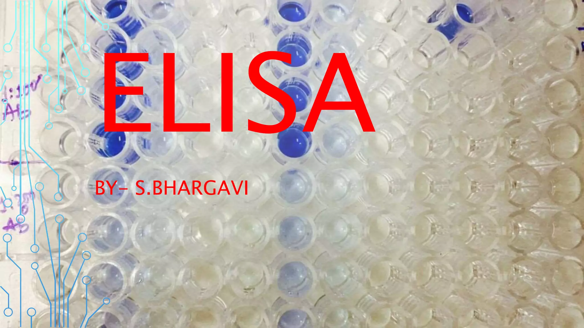 Elisa | PPTX