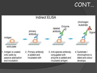 Elisa | PPTX