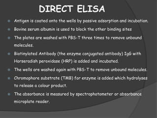 Elisa | PPTX