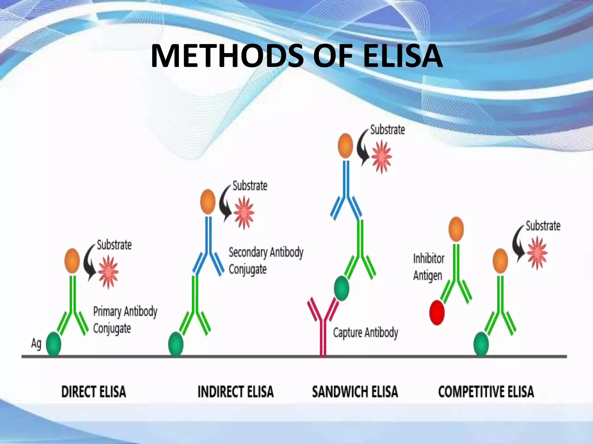 Elisa (Enzyme Linked Immuno Sorbent Assay) | PPTX