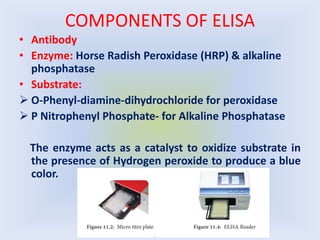 Elisa | PPT