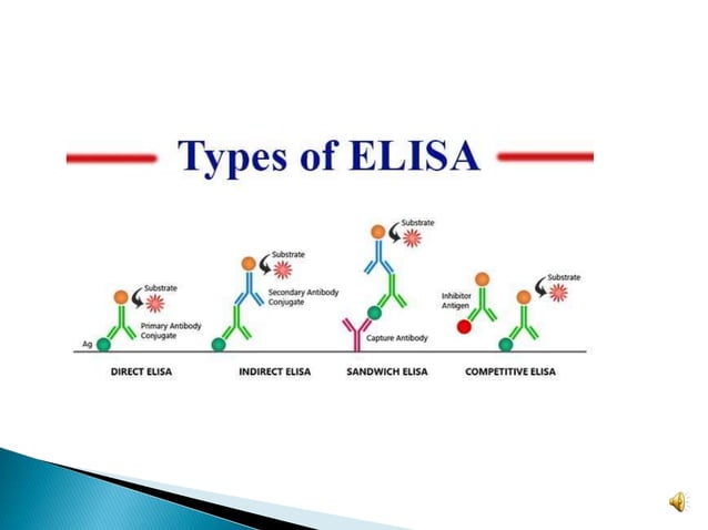 ELISA and its advantages | PPTX | Medical Tests | Medical Health